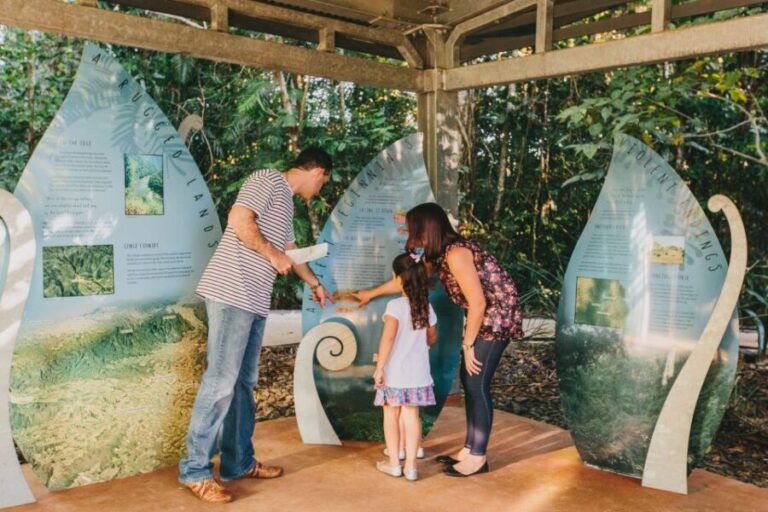 Wooroonooran National Park: Mamu Tropical Skywalk Admission - What We Love About the Experience