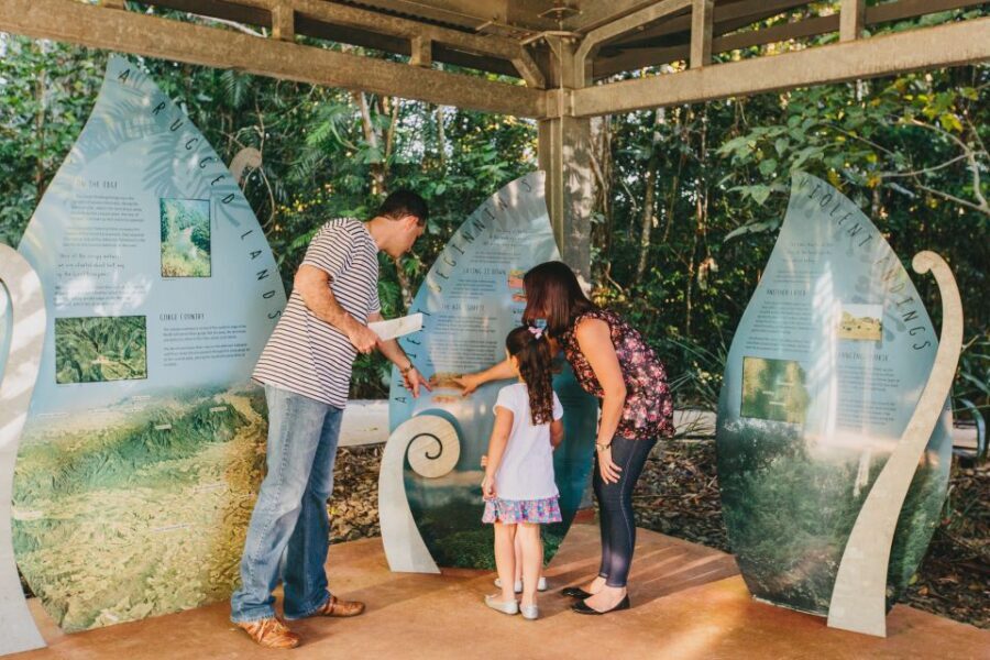 Wooroonooran National Park: Mamu Tropical Skywalk Admission - What We Love About the Experience