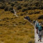 wulinantikala / Cradle Mountain Hiking Tour - 4 Days - The Value of the Cradle Mountain 4-Day Tour