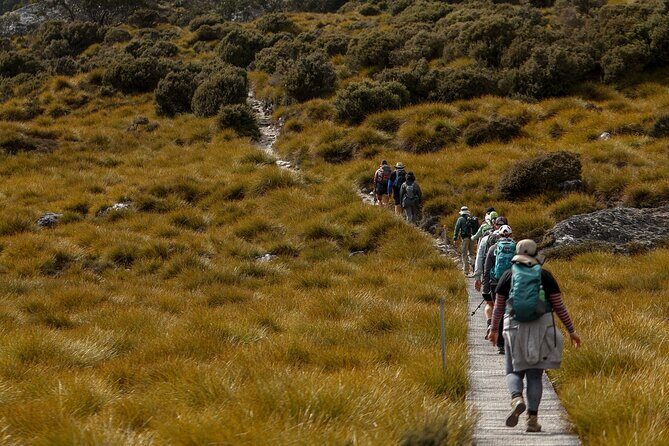 wulinantikala / Cradle Mountain Hiking Tour - 4 Days - The Value of the Cradle Mountain 4-Day Tour