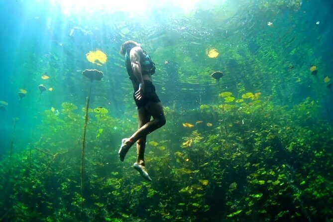 Xcaret 4-Cenotes-Guided Tour- Snacks, Lunch and Drinks included - Who Should Consider This Tour?