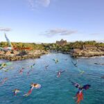 Xcaret Park Day Tour & Night Show with Transportation - The Practicalities: Transportation, Price, and What’s Included