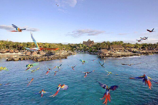 Xcaret Park Day Tour & Night Show with Transportation - The Practicalities: Transportation, Price, and What’s Included