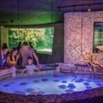 Xcaret Park Entry Tickets with Cultural Night Show Included - Authentic Experiences We Noticed from Reviews