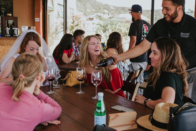 Xecue Wine Tasting in the Guadalupe Valley - Customer Feedback: What Visitors Say