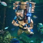 Xel-Ha Tickets with Transportation included - Real Traveler Insights and Experiences