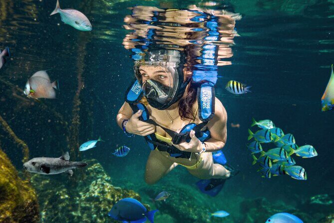 Xel-Ha Tickets with Transportation included - Real Traveler Insights and Experiences