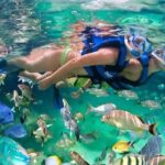 Xelha All Inclusive - Dining and Drinks: Unlimited and Delicious