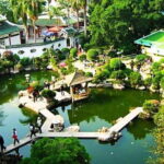 Xiamen Private Day Tour Include Gulangyu Island and Botanic Garden - The Beauty of Xiamen Botanical Garden