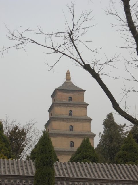 Xi'an: Terra-Cotta Warriors Entry with Optional Guide - The Practicalities: What to Expect on the Tour