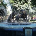 Xochimilco, Coyoacan and Frida Kahlo Museum Tour - The Experience: Pros and Cons