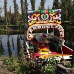 Xochimilco & Coyoacán Private Tour - Final Thoughts