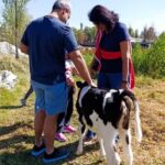 Xochimilco for kids and families - Why This Tour Offers Real Value