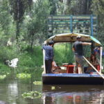 Xochimilco Serene: A Calm Cultural Escape from the Crowds - Practical Details and Value