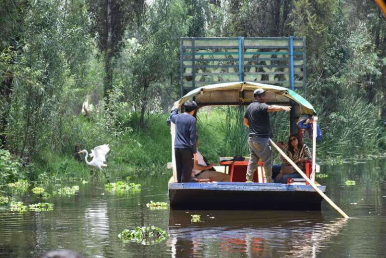 Xochimilco Serene: A Calm Cultural Escape from the Crowds - Practical Details and Value