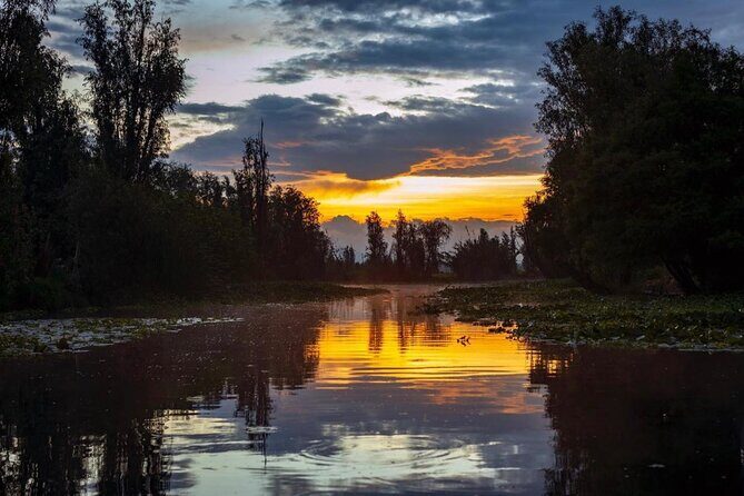 Xochimilco Sunrise from Mexico - Why This Tour Is Worth Considering