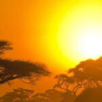 Yala Block 5: Private Morning or Evening Safari - Why Choose This Safari?
