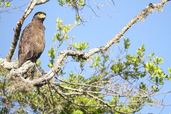 Yala Full Day Safari from Hambantota Port Shore Excursion - The Itinerary — What to Expect