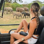 Yala National Park: 7 hours or 12 hours Leopard Wild Safari - Who Is This Tour Perfect For?
