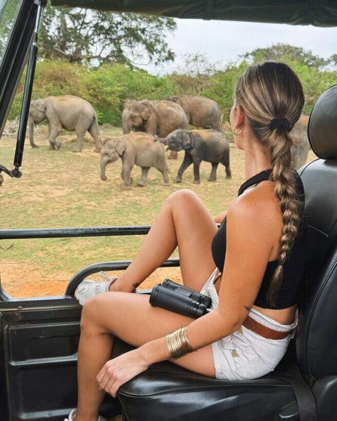 Yala National Park: 7 hours or 12 hours Leopard Wild Safari - Who Is This Tour Perfect For?