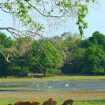 Yala National Park: ALL INCLUSIVE PRIVATE Safari Tour - Detailed Breakdown of the Itinerary