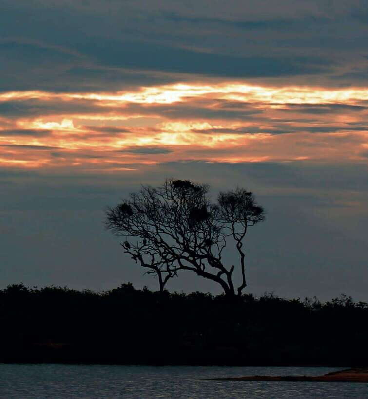 Yala National Park: Full day Safari Tour - What Makes This Tour Stand Out