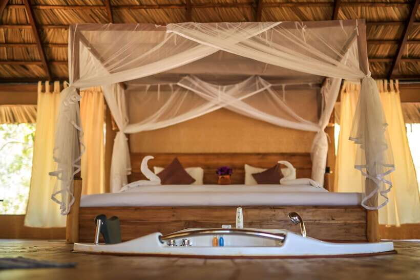 Yala National Park : Luxury Camping Adventure & Safaris - Final Thoughts: Is This Safari for You?