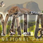 "Yala National Park Safari-Half-Day Safari Guided Adventure" - Who Would Love This Safari?