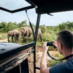 Yala National Park Wildlife Safari/ Game Drive - by Ajith Safari - Who Should Consider this Safari?