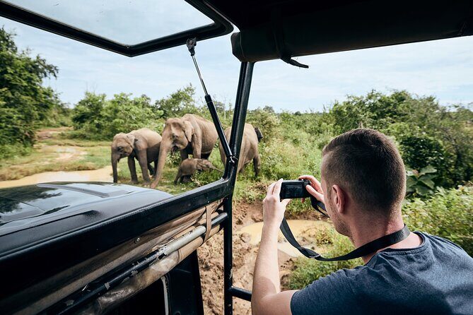 Yala National Park Wildlife Safari/ Game Drive - by Ajith Safari - Who Should Consider this Safari?