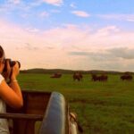 Yala Safari (5 Days, 4 Nights) - Practical Insights and Value