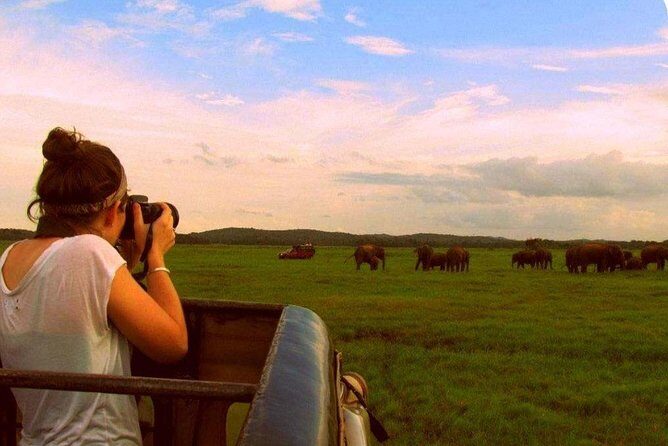 Yala Safari (5 Days, 4 Nights) - Practical Insights and Value