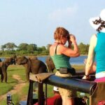 Yala Safari Tour from Hambantota Port (Shore Excursion) - Who Will Enjoy This Tour?