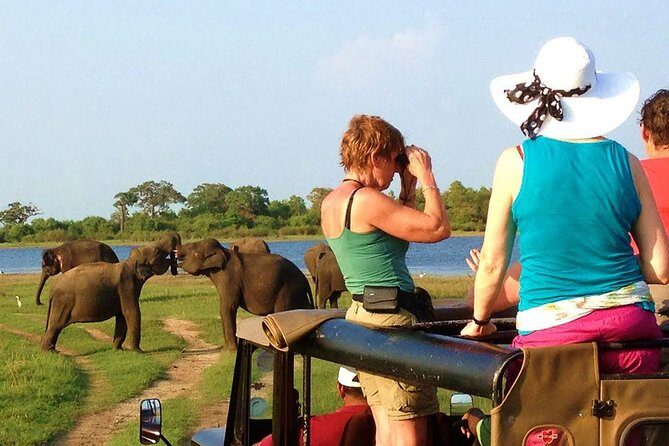 Yala Safari Tour from Hambantota Port (Shore Excursion) - Who Will Enjoy This Tour?