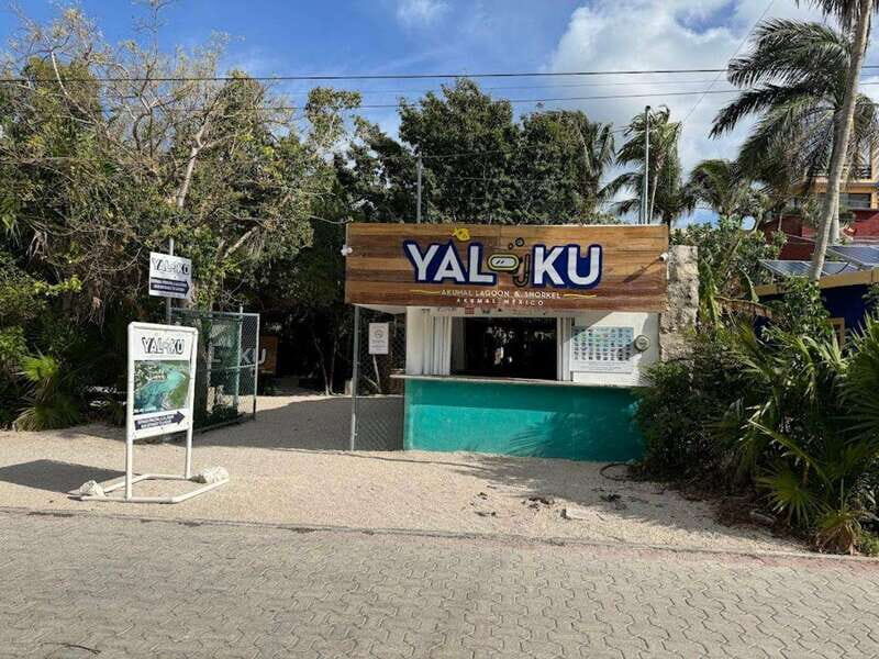 Yalku :Akumal snorkeling Muuch Kay Ecopark - The Itinerary Breakdown
