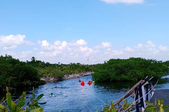 Yalku lagoon and turtles akumal sanctuary - The Value of This Tour