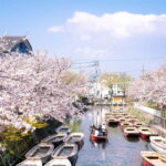 Yanagawa: Original Boat Tour - Who Should Consider This Tour?