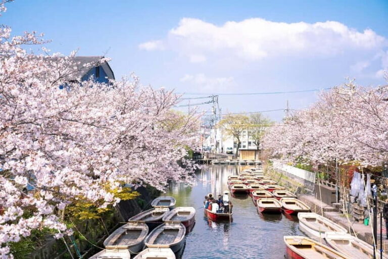 Yanagawa: Original Boat Tour - Who Should Consider This Tour?
