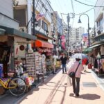 Yanaka Historical Walking Tour in Tokyo's Old Town - The Itinerary: What Makes Each Stop Special?
