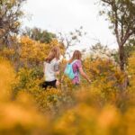 Yanchep Ultimate Adventure Guided Hike Tour - The Experience in Practical Terms