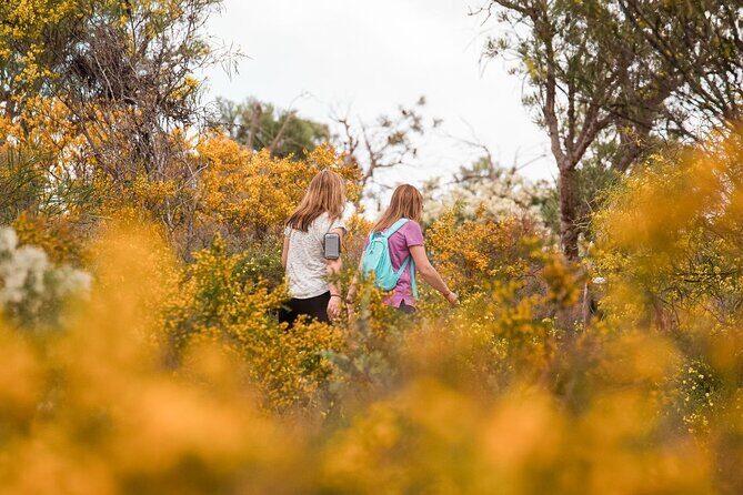 Yanchep Ultimate Adventure Guided Hike Tour - The Experience in Practical Terms