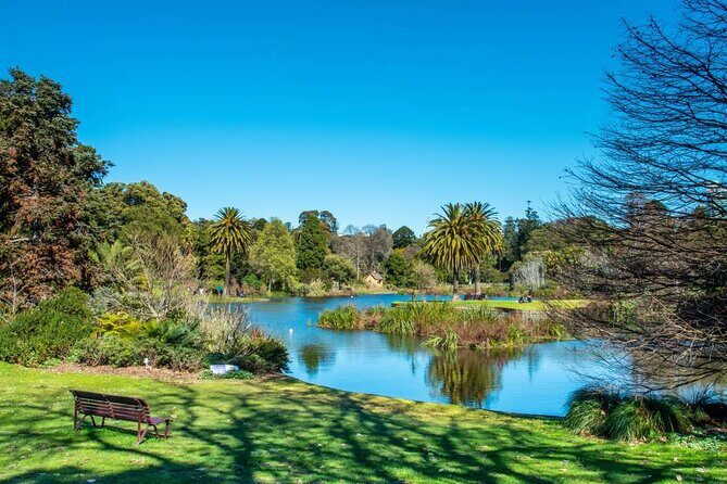 Yarra River Nature Trail Walk - Is This Tour Worth the Price?
