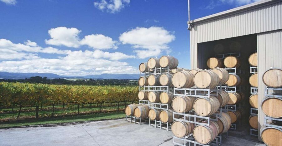 Yarra Valley and Dandenong Ranges: Scenic Bus Tour and Lunch - Real Traveler Perspectives