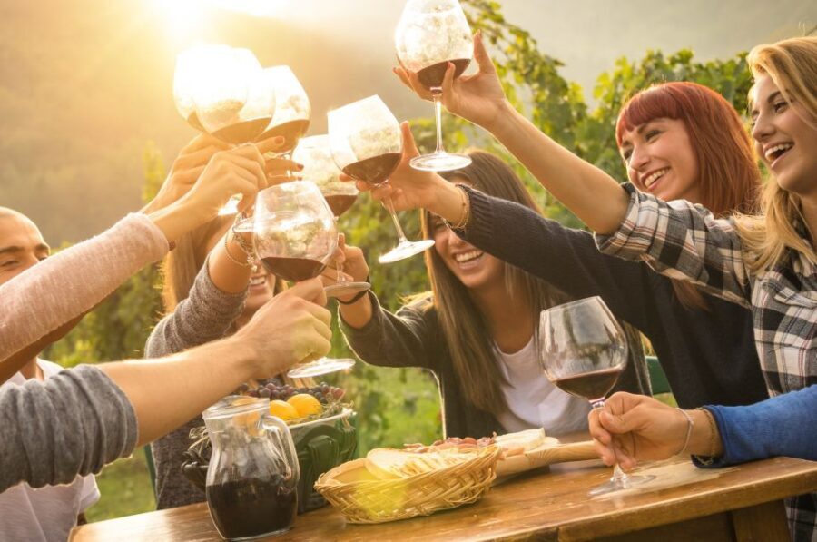Yarra Valley: Bus Wine Tour with Lunch and a Glass of Wine - Practical Details and Considerations