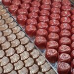 Yarra Valley, Dandenong Ranges inc. lunch with wine,plus morning tea,chocolate - What the Experience Means for You