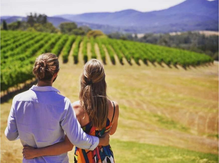 Yarra Valley Foodies Tour with Chandon and Kangaroo Safari! - The Sunset Kangaroo Safari: A Wild Finish