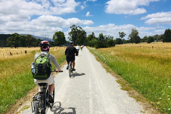 Yarra Valley Guided Bike Tour | Food & Wine Region - What We Love About the Tour