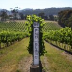 Yarra Valley Premium Tour inc Lunch and Cheese and Wine Pairing at De Bortoli - Practical Considerations