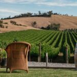 Yarra Valley Small Group with Lunch and Gin Tasting Four Pillars - What Makes This Tour Stand Out?