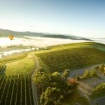 Yarra Valley Wine Day Tour - What’s the Value?